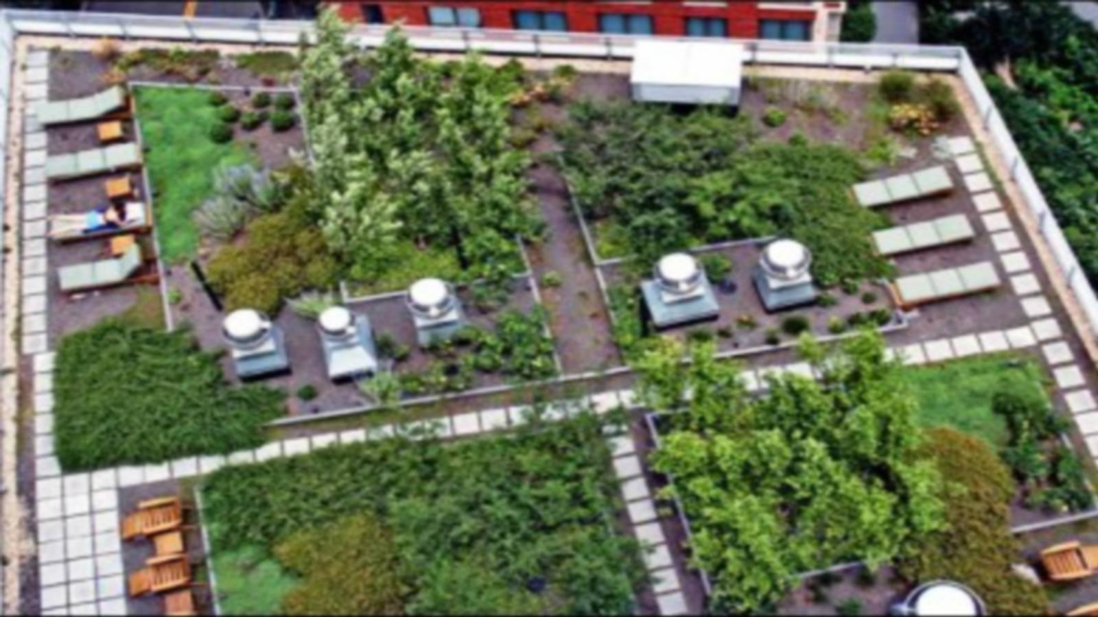 Φυτεμένα δώματα - ΦΥΤΕΜΕΝΑ ΔΩΜΑΤΑ